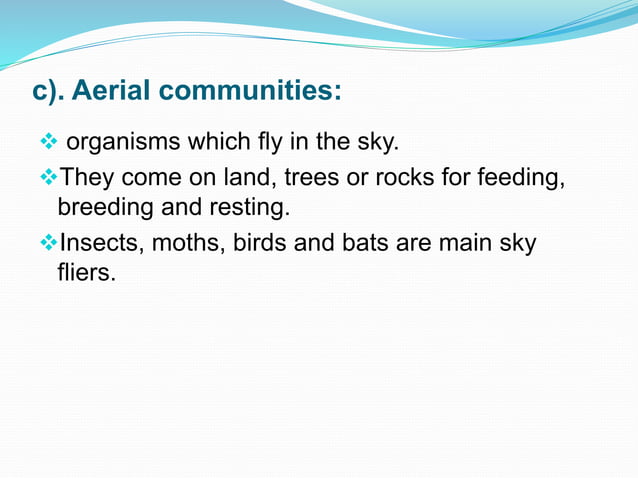 The terrestrial habitat | PPTX | Gardening | Home & Garden