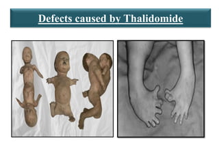 The Thalidomide tragedy.pptx