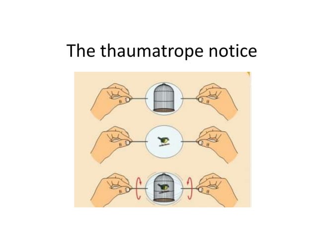 The thaumatrope notice | PPTX