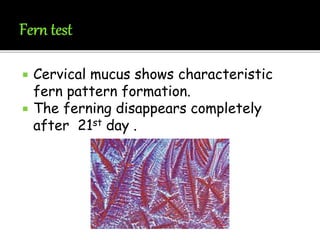 The the gynaecological examination pelvic aid diagnosis | PPTX