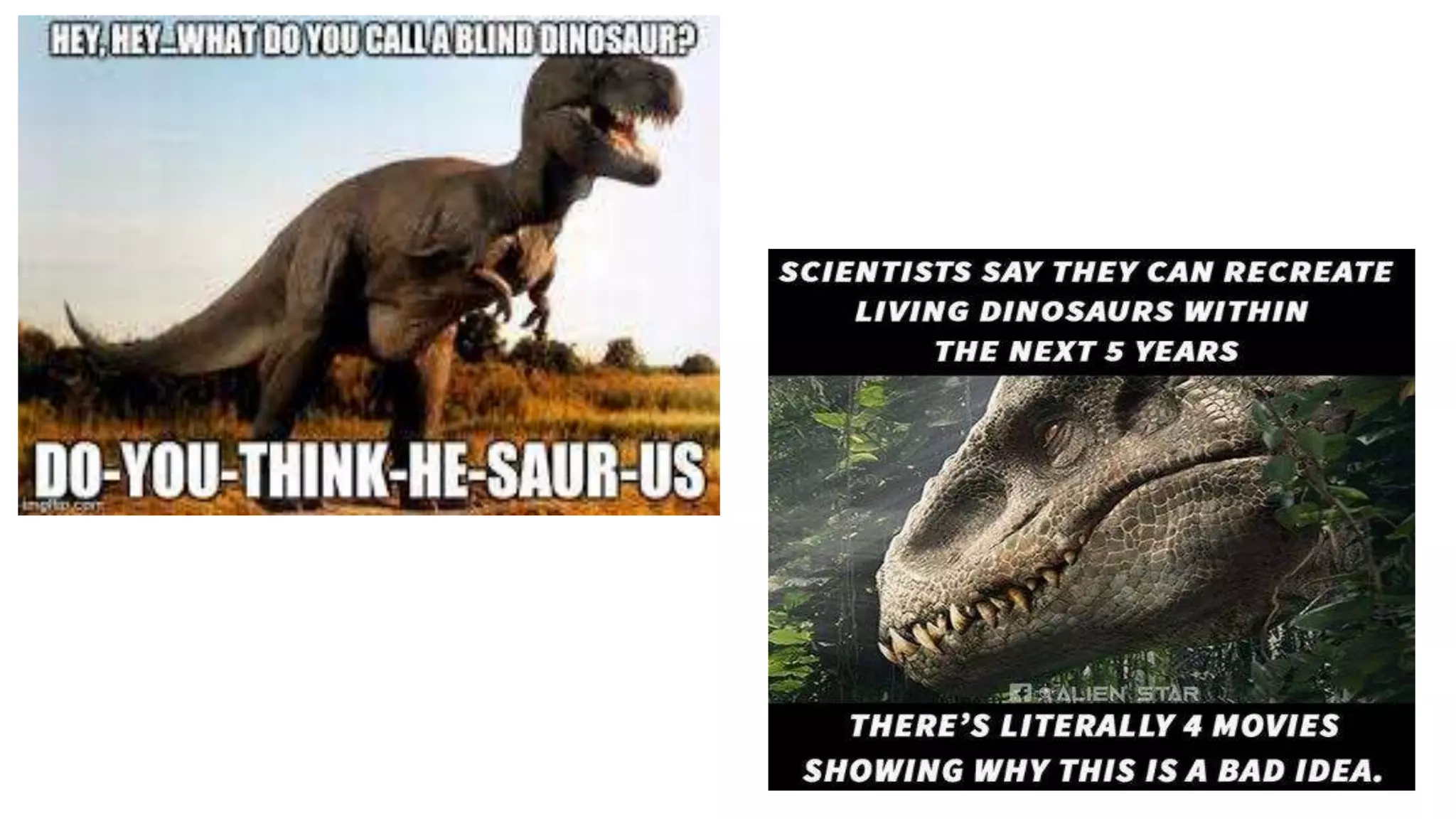 The theories of dinosaur extinction | PPTX