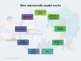 The theory and practice of microcredit | PPTX