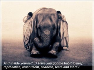 The Theory Of Emptiness | PPS