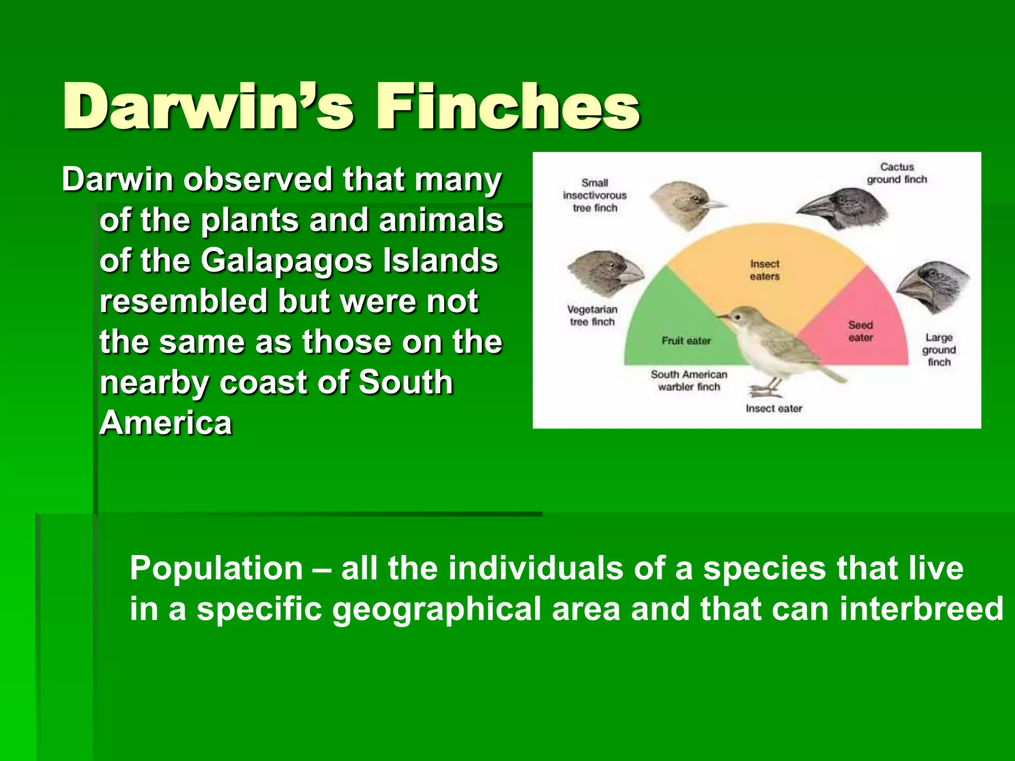 The Theory of Evolution | PPTX | Geology | Science