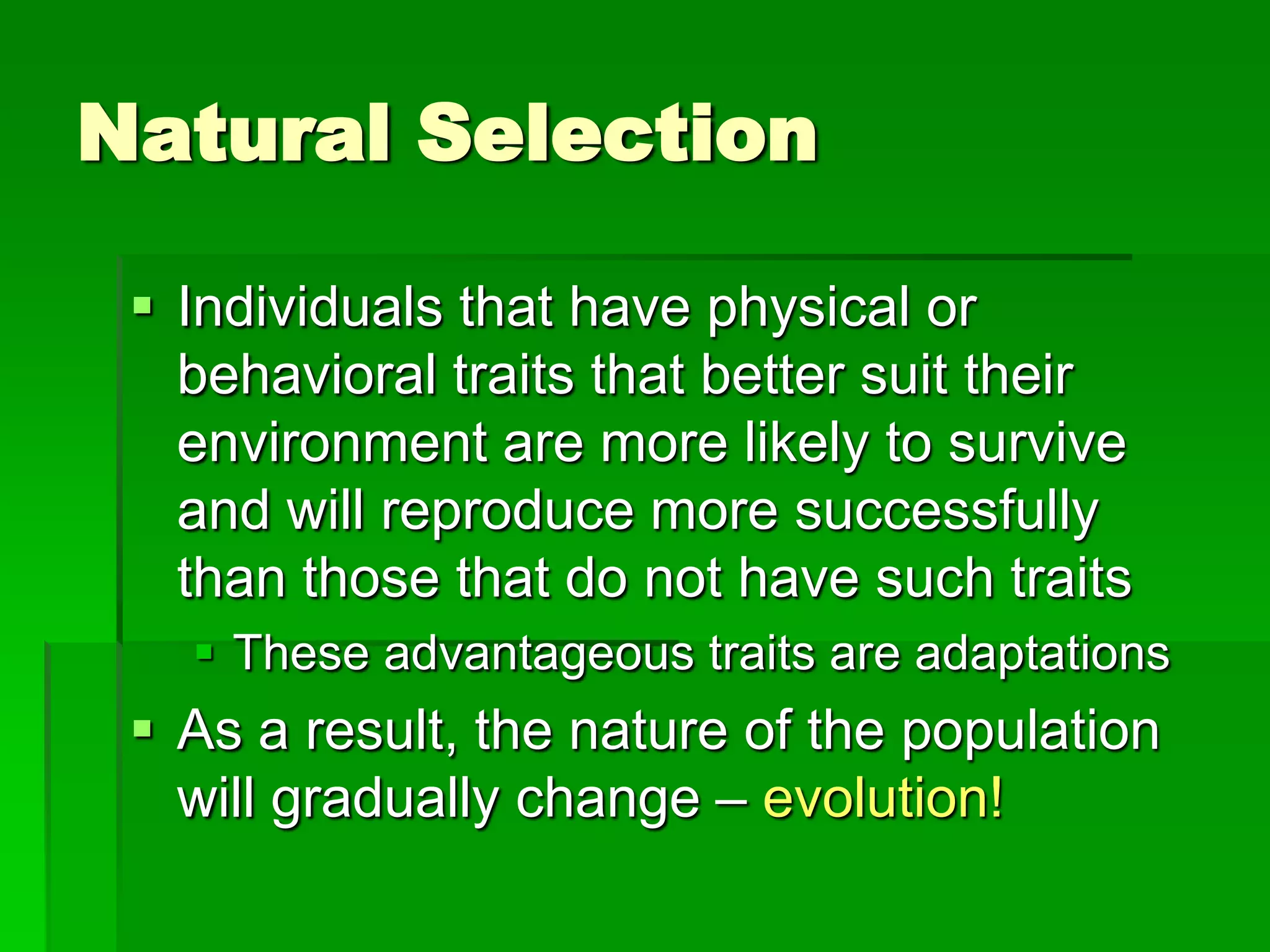 The Theory of Evolution | PPTX | Geology | Science
