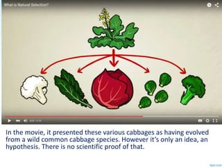 The Theory of Evolution and its limits | PPT