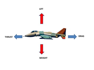 The theory of flight 1234 | PPTX