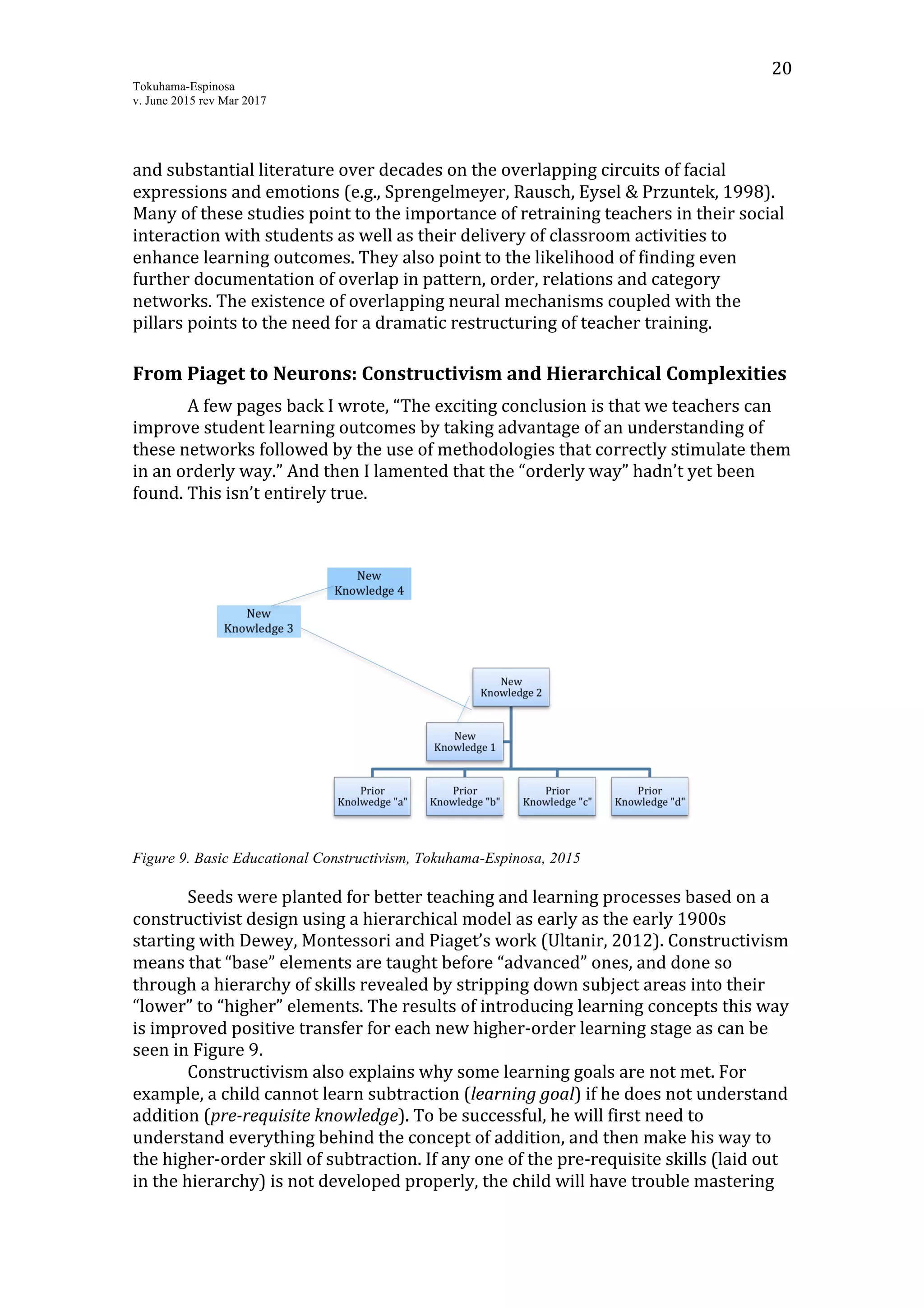Five Pillars of Neuroconstructivism in the Brain by Tracey Tokuhama ...