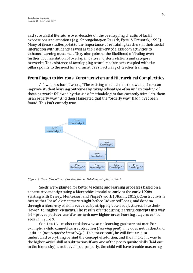 Five Pillars of Neuroconstructivism in the Brain by Tracey Tokuhama ...