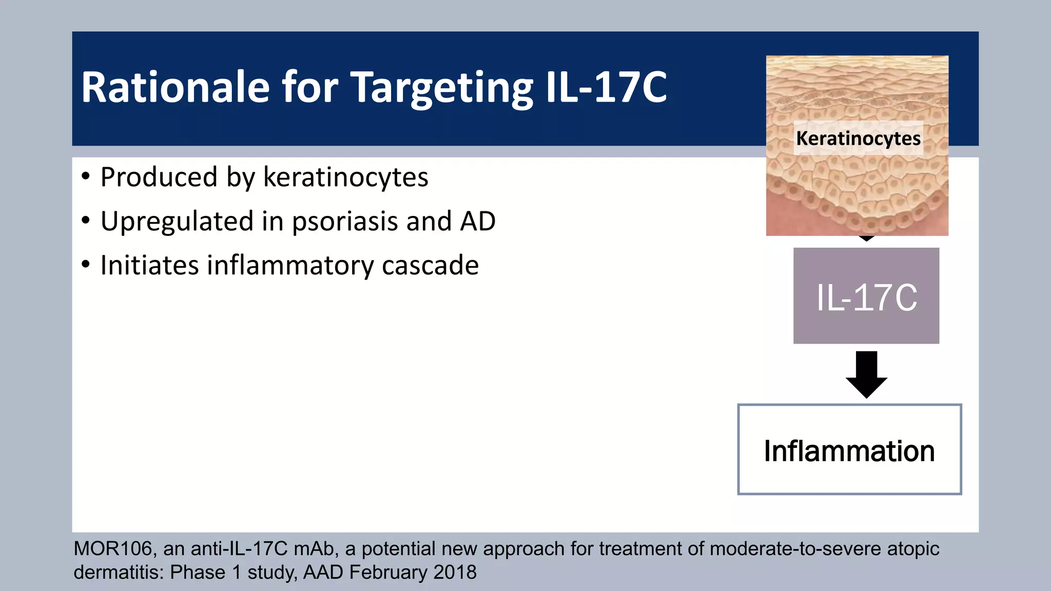 The therapeutic landscape in atopic dermatitis | PDF