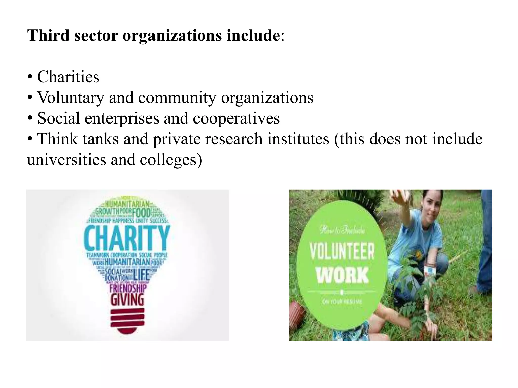 The Third Sector | PPTX