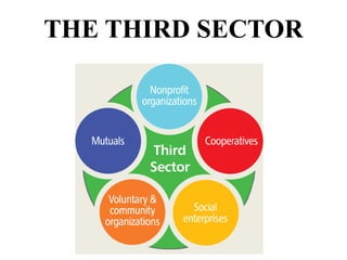 The Third Sector | PPTX