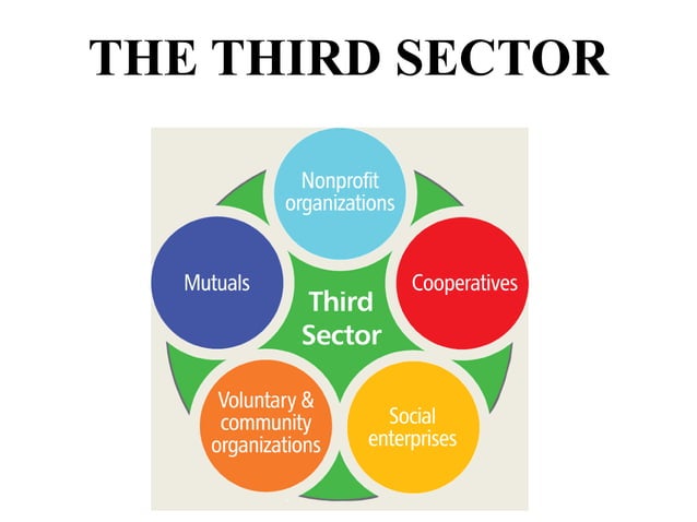 The Third Sector | PPT