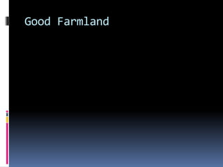 The thirteen colonies ppt. (1) | PPT