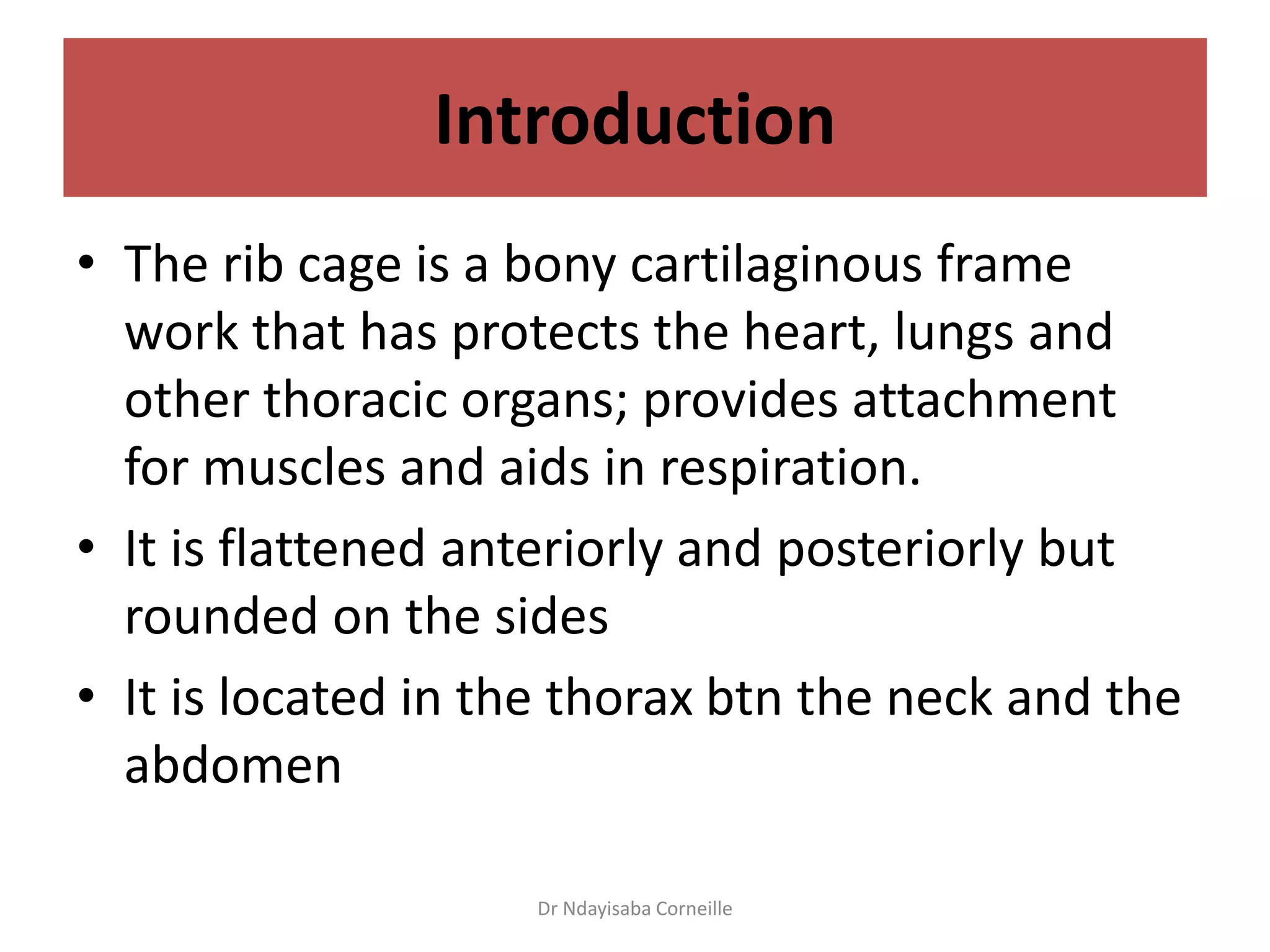 The Thoracic cage Anatomy.pptx