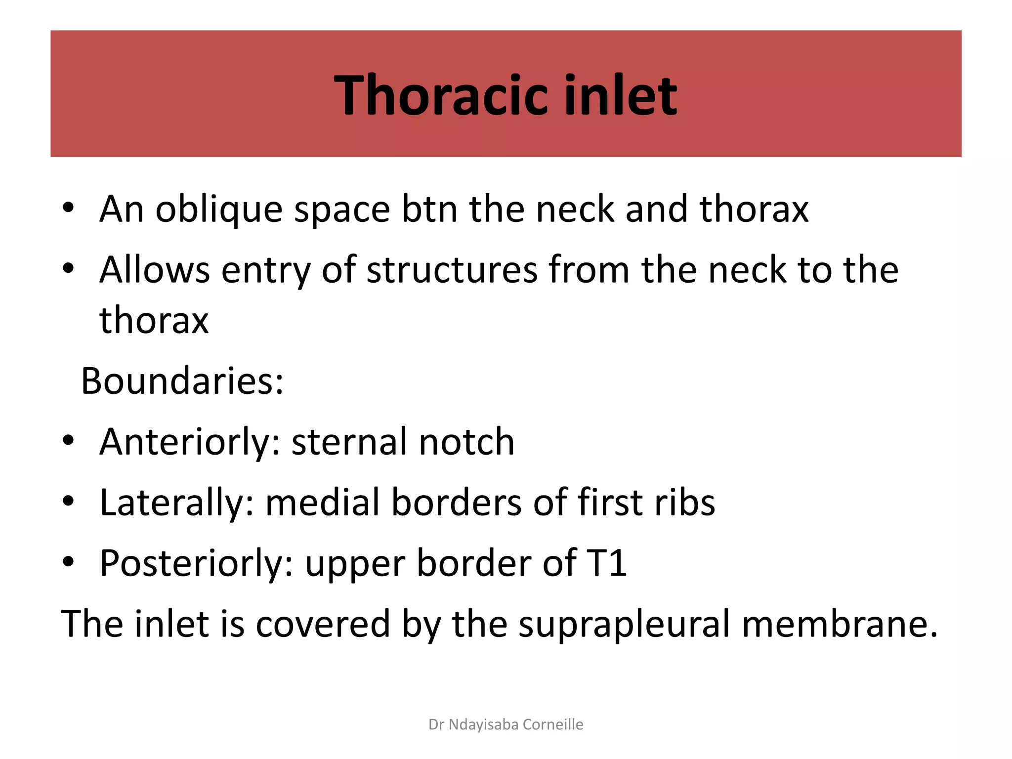 The Thoracic cage Anatomy.pptx