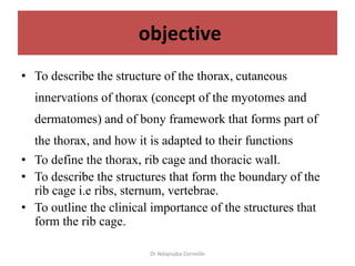 The Thoracic cage Anatomy.pptx