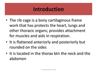 The Thoracic cage Anatomy.pptx