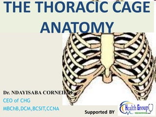 Thoracic Cage Labeled