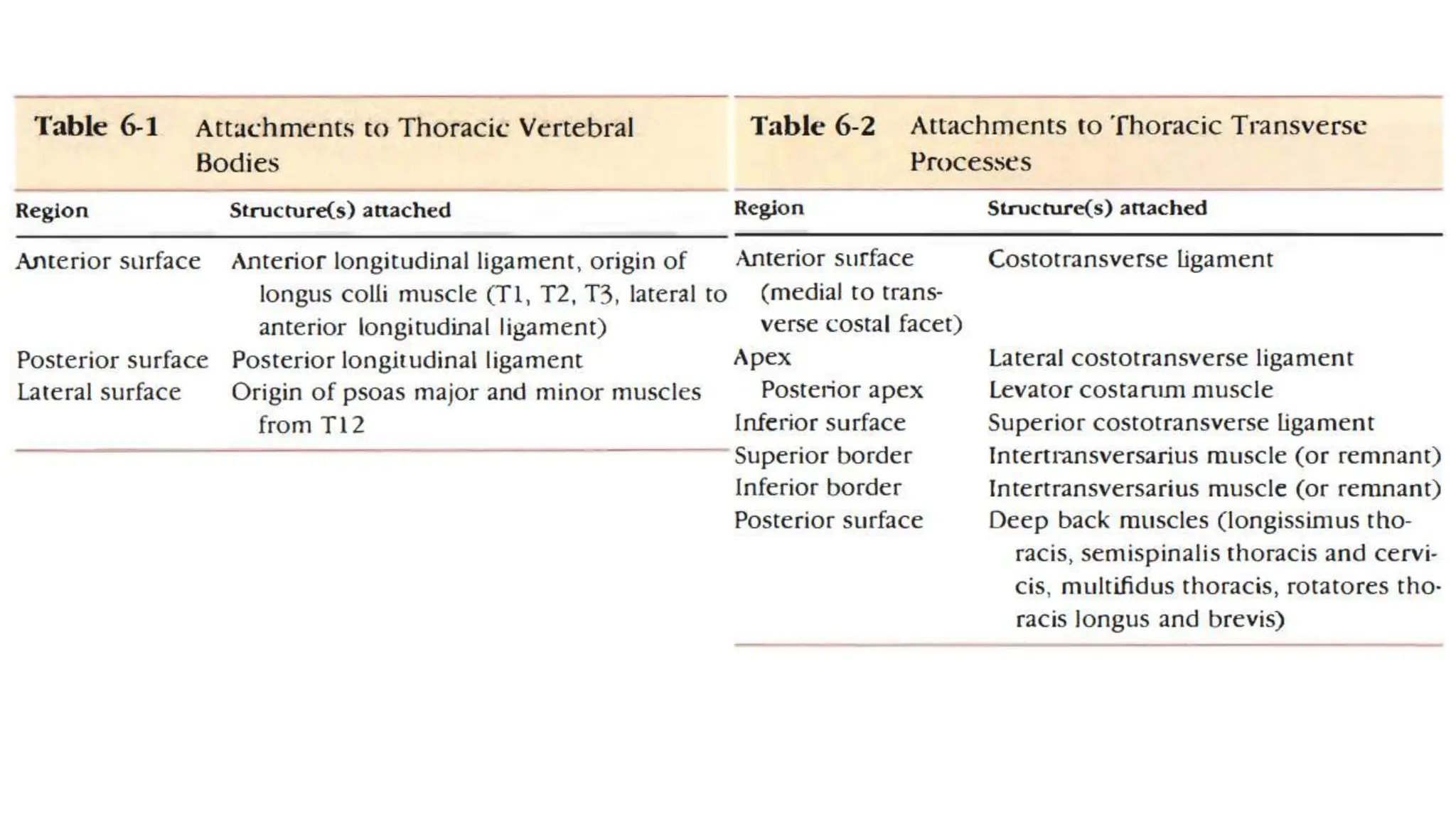 The Thoracic Region power point presentation- SBSL - HI.pptx