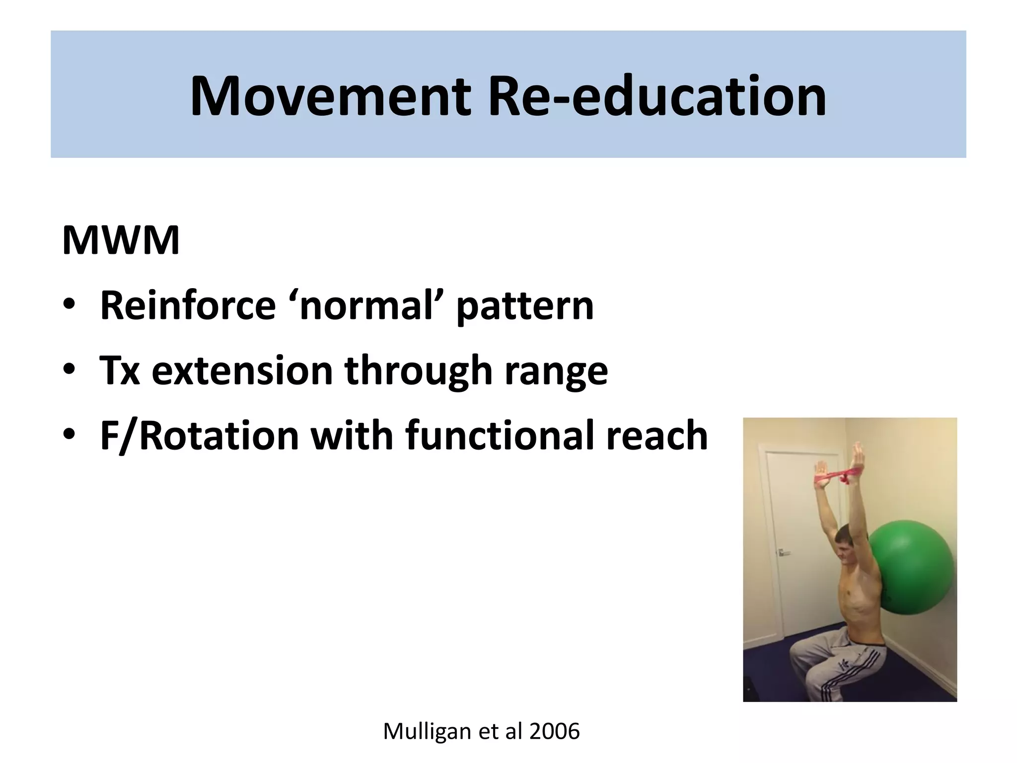 The thoracic spine | PDF