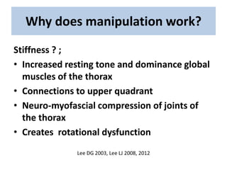 The thoracic spine | PDF