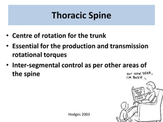 The thoracic spine | PDF