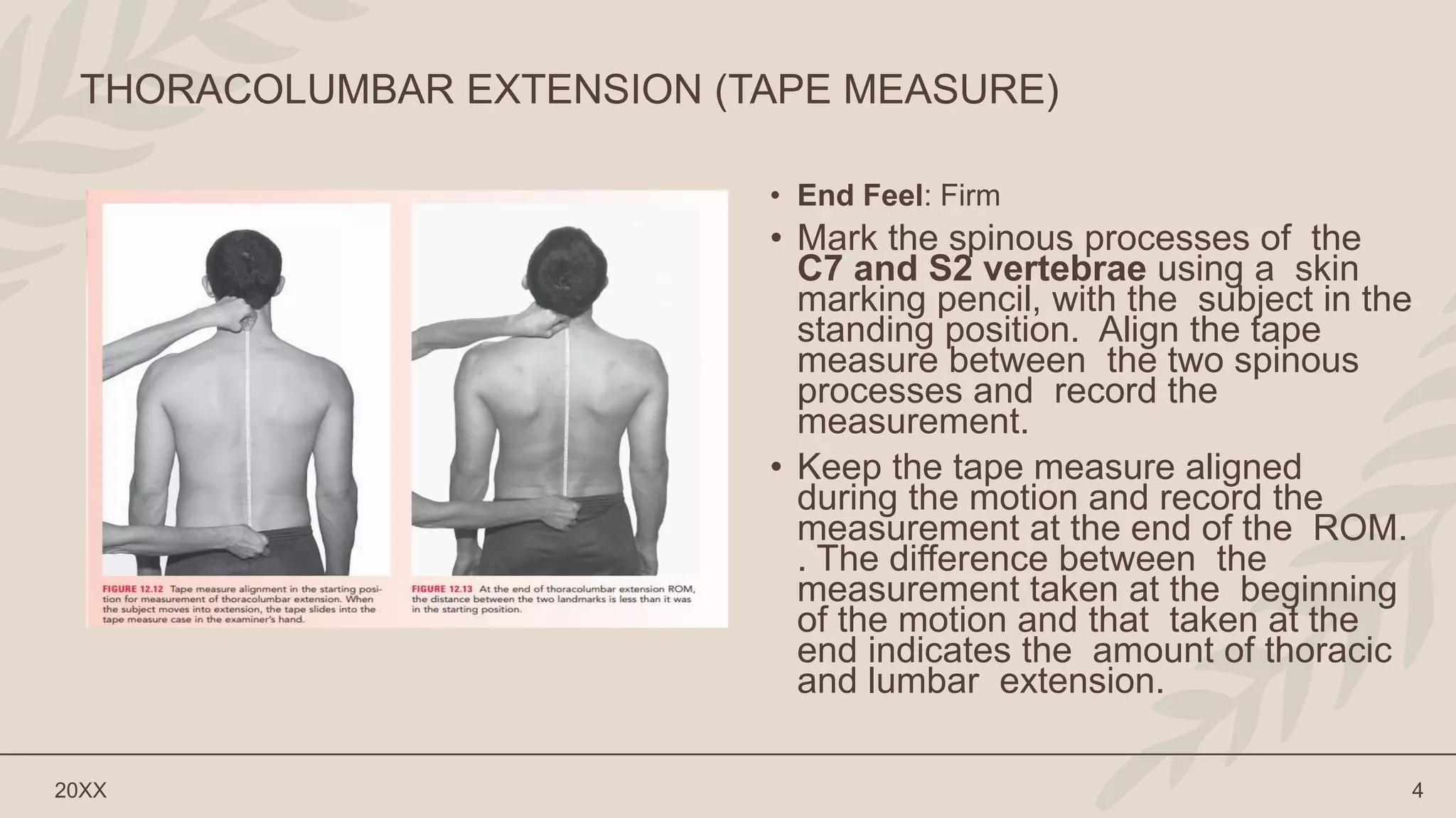 The Thoracolumbar Spine.pptx
