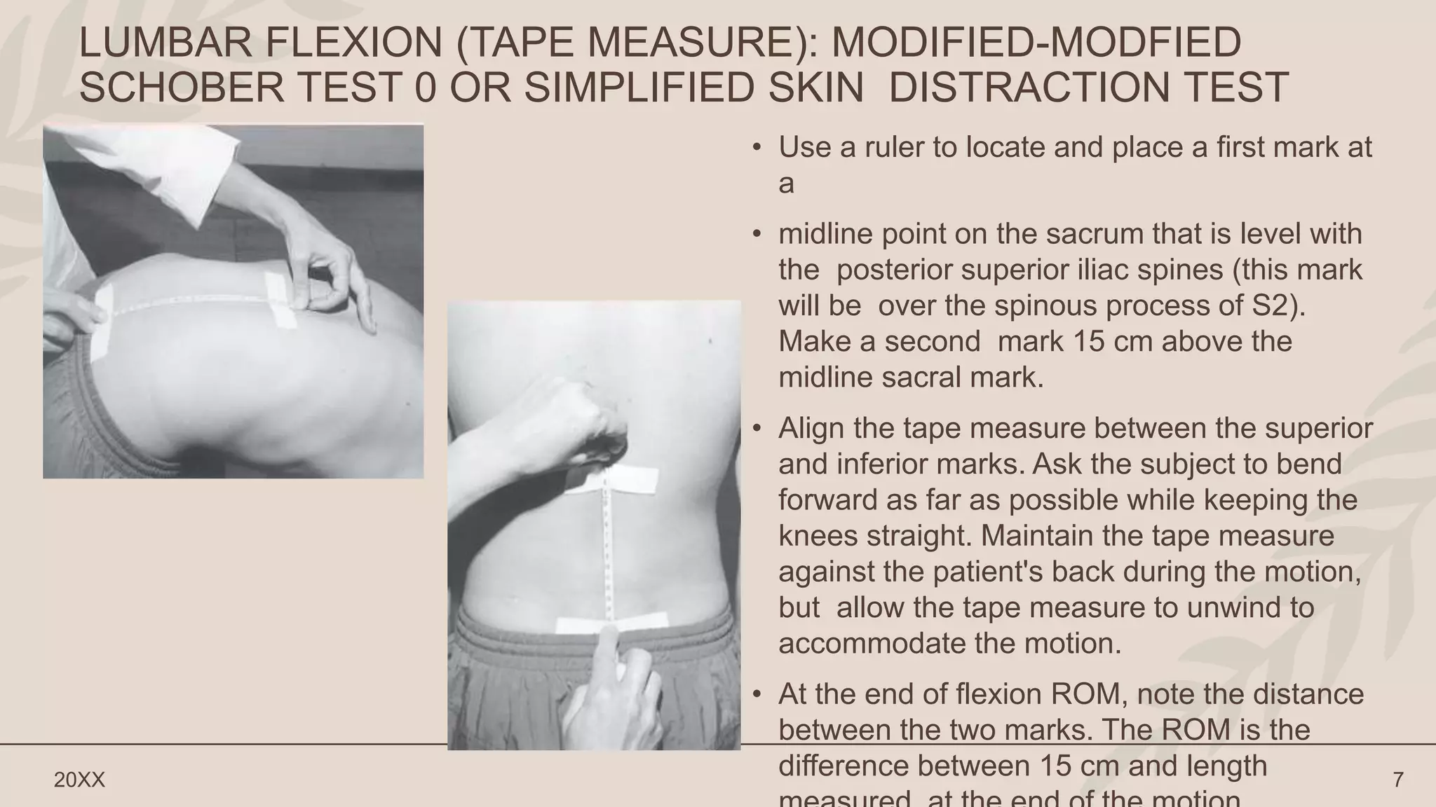 The Thoracolumbar Spine.pptx