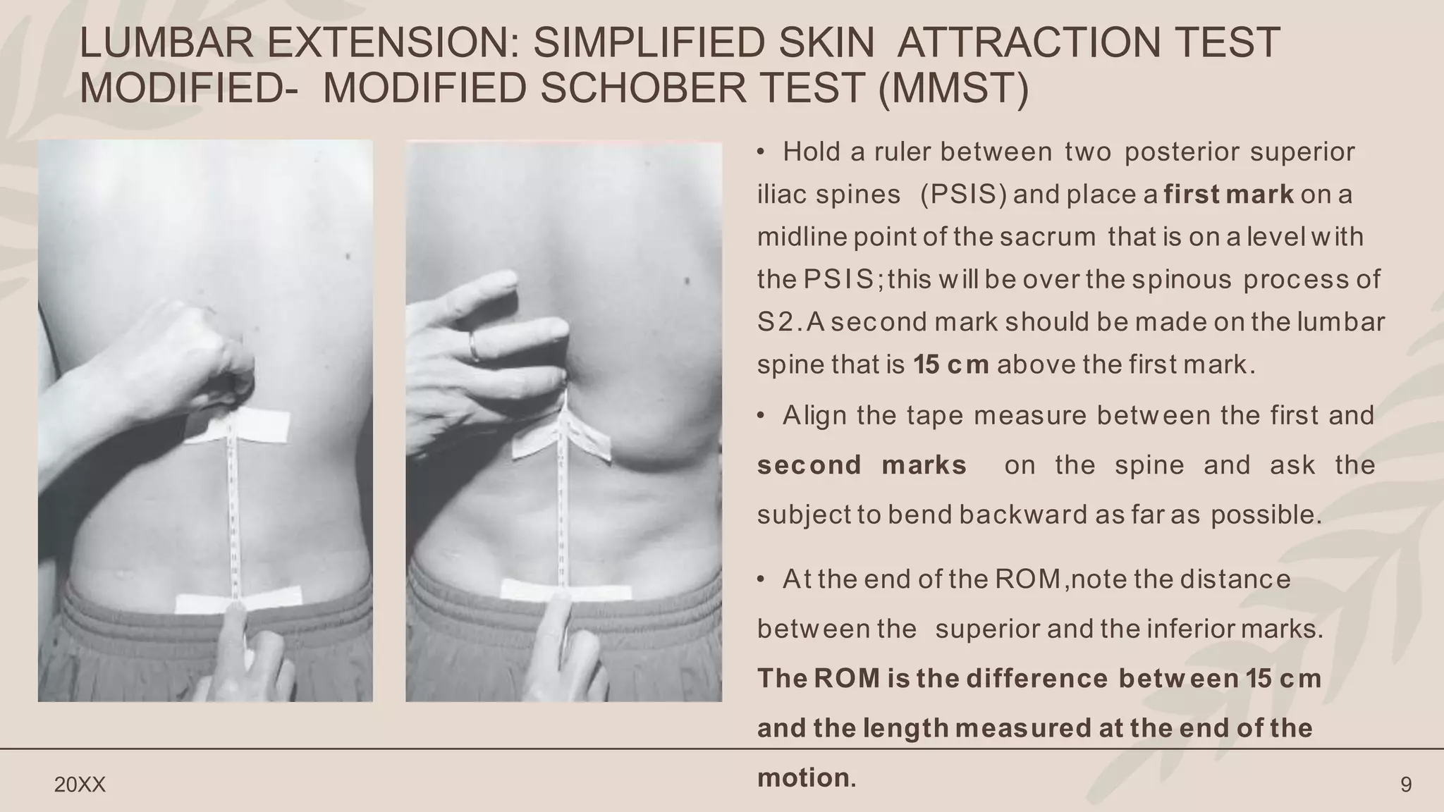 The Thoracolumbar Spine.pptx