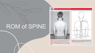 The Thoracolumbar Spine.pptx