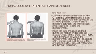 The Thoracolumbar Spine.pptx