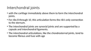 THE THORAX AND CHEST WALL BIOMECHANICS.pptx