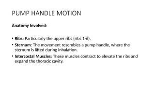 THE THORAX AND CHEST WALL BIOMECHANICS.pptx
