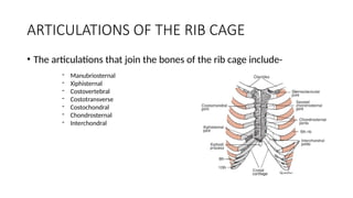 THE THORAX AND CHEST WALL BIOMECHANICS.pptx