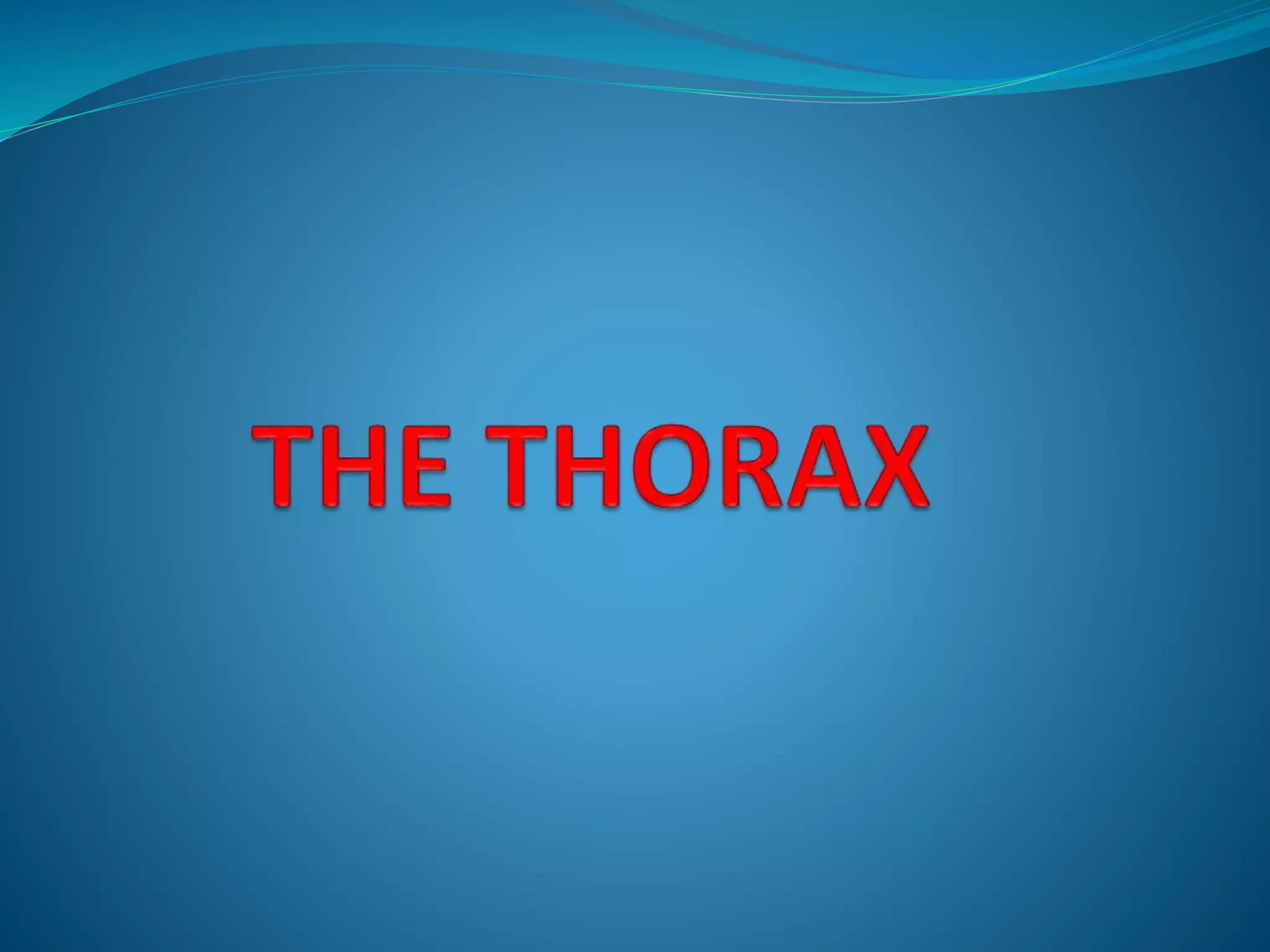 The thorax PG CM.pptx
