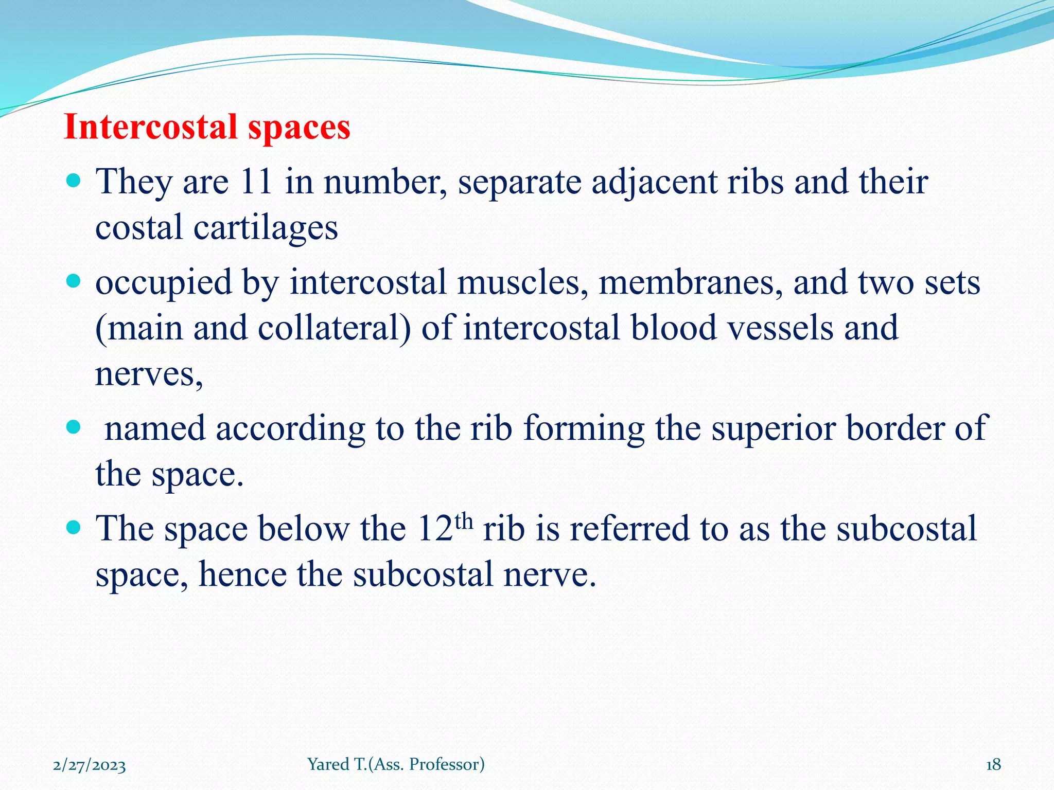 The thorax PG CM.pptx