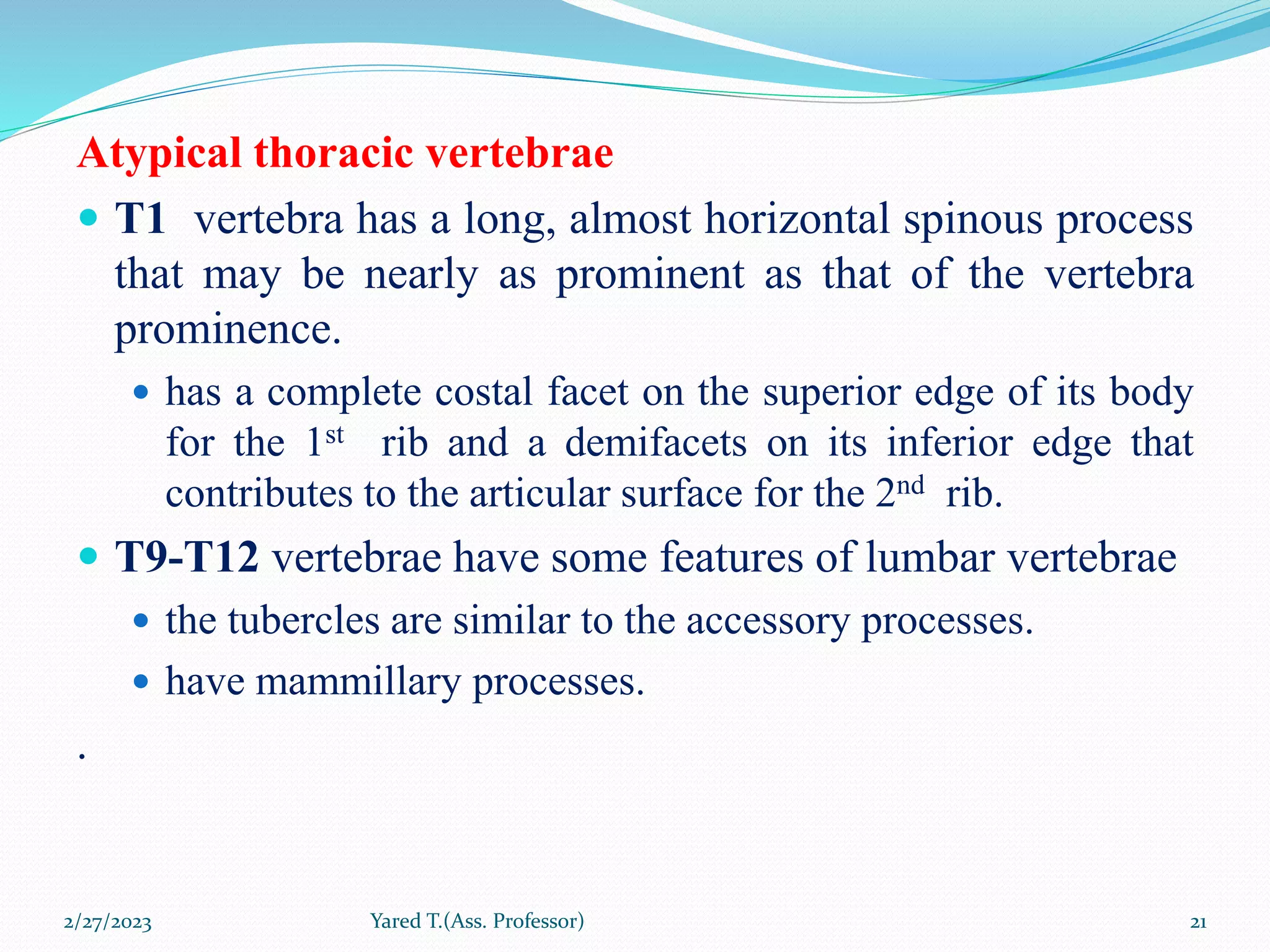 The thorax PG CM.pptx
