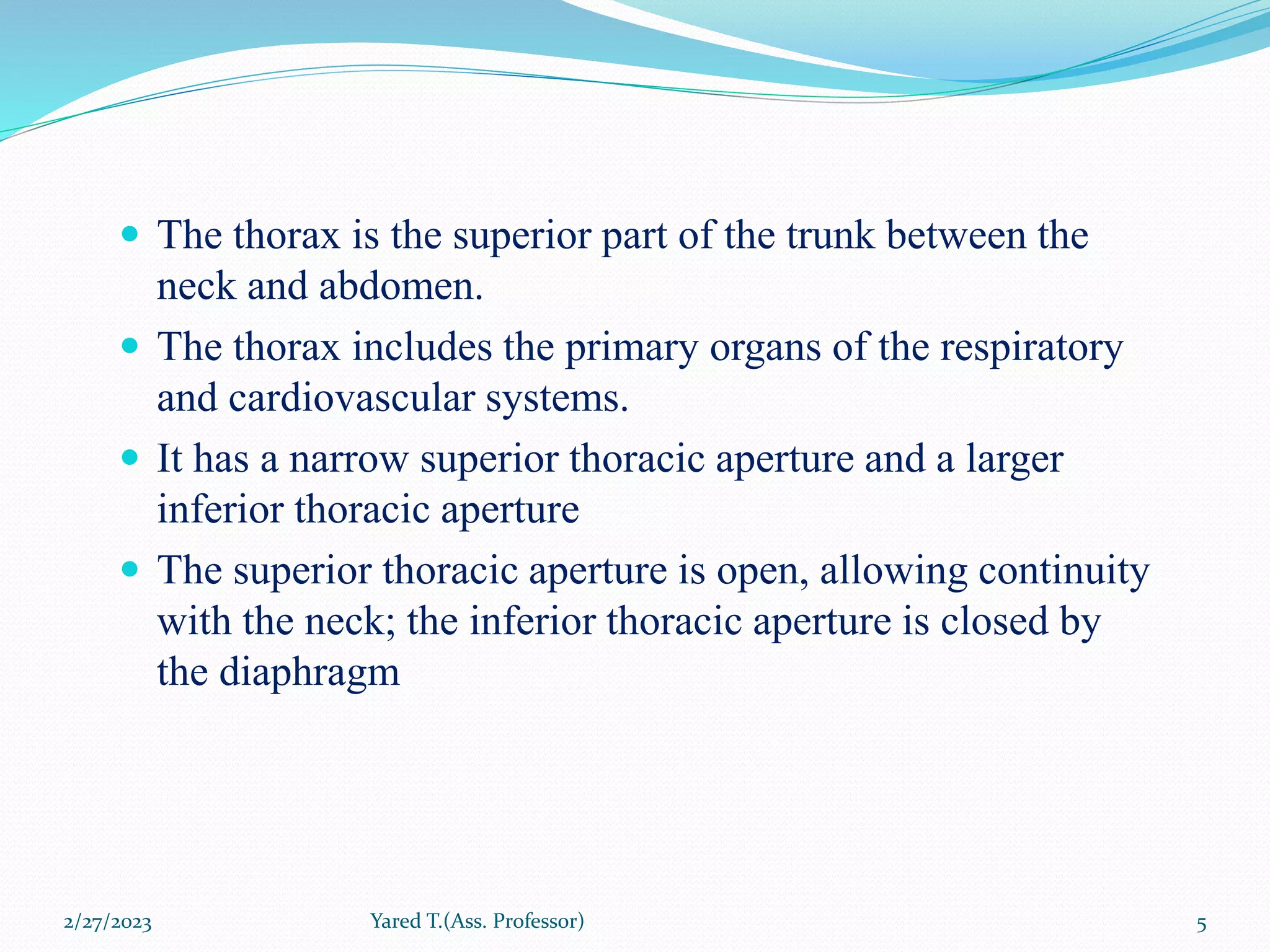The thorax PG CM.pptx