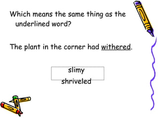 The Three Century Woman | PPT