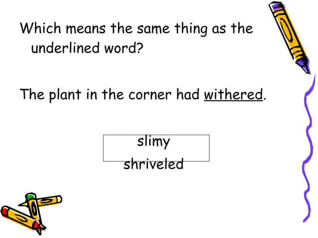 The Three Century Woman | PPT