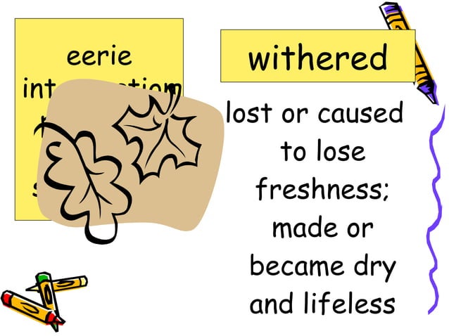 The Three Century Woman | PPT