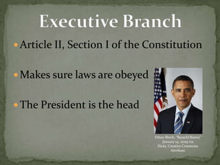 The Three Branches Of Government Power Point | PPTX