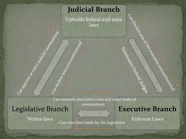 The Three Branches Of Government Power Point | PPTX