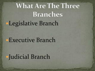 The Three Branches Of Government Power Point | PPTX