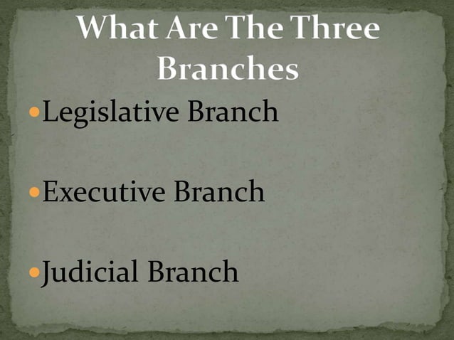 The Three Branches Of Government Power Point | PPTX