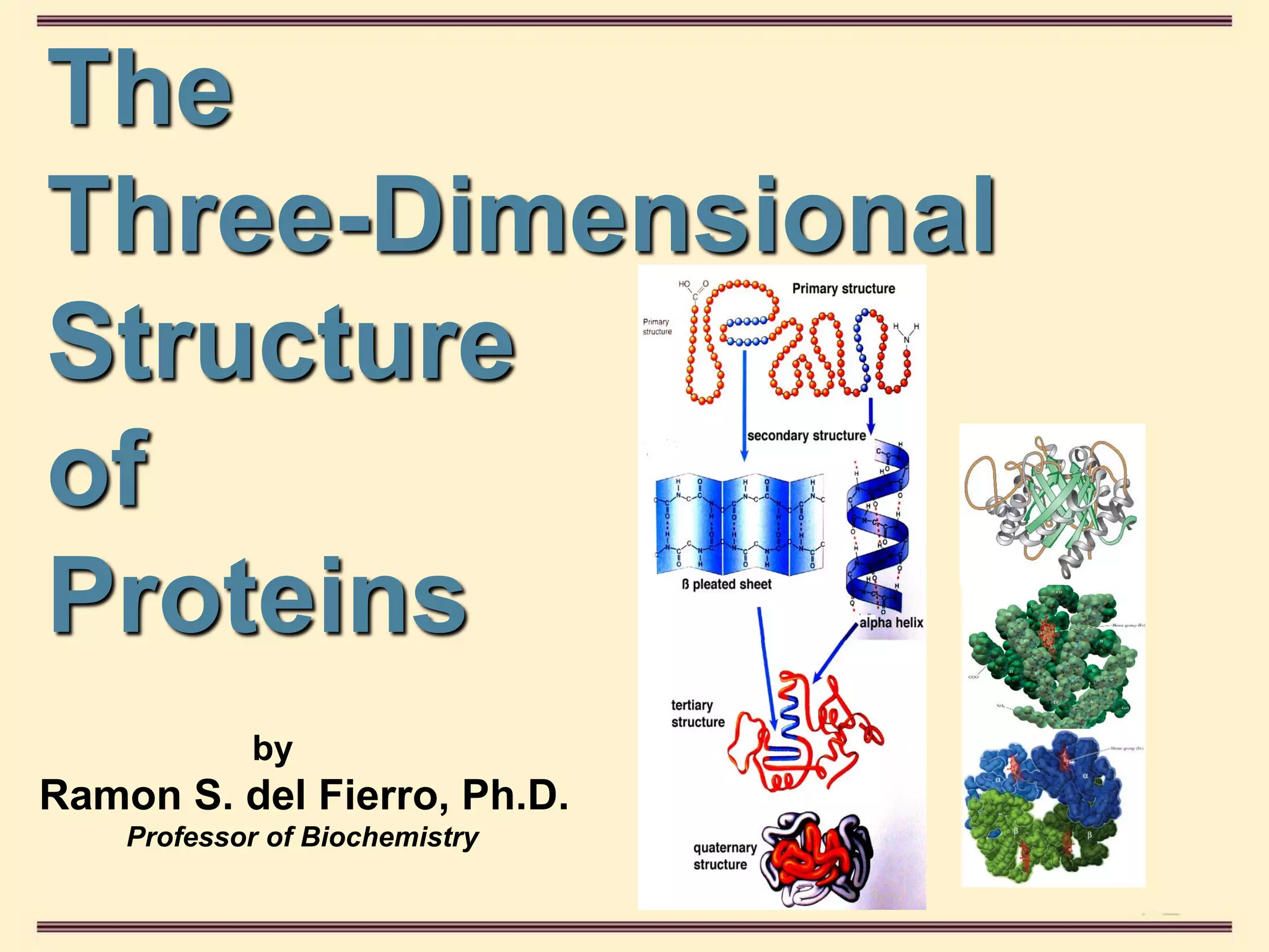 THE THREE DIMENSIONAL STRUCTURE OF PROTEINS.pdf