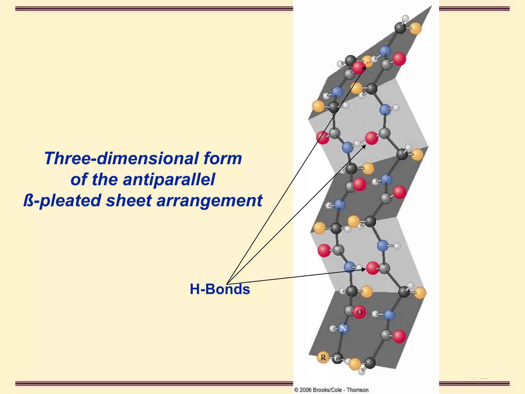 THE THREE DIMENSIONAL STRUCTURE OF PROTEINS.pdf