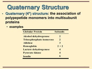 THE THREE DIMENSIONAL STRUCTURE OF PROTEINS.pdf