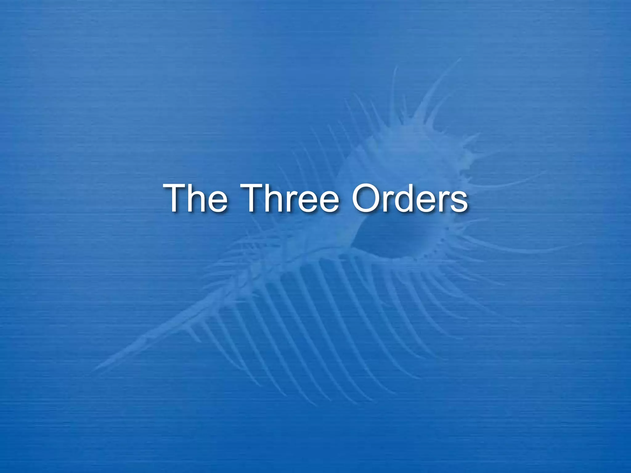 The Three Orders class 11.ppt